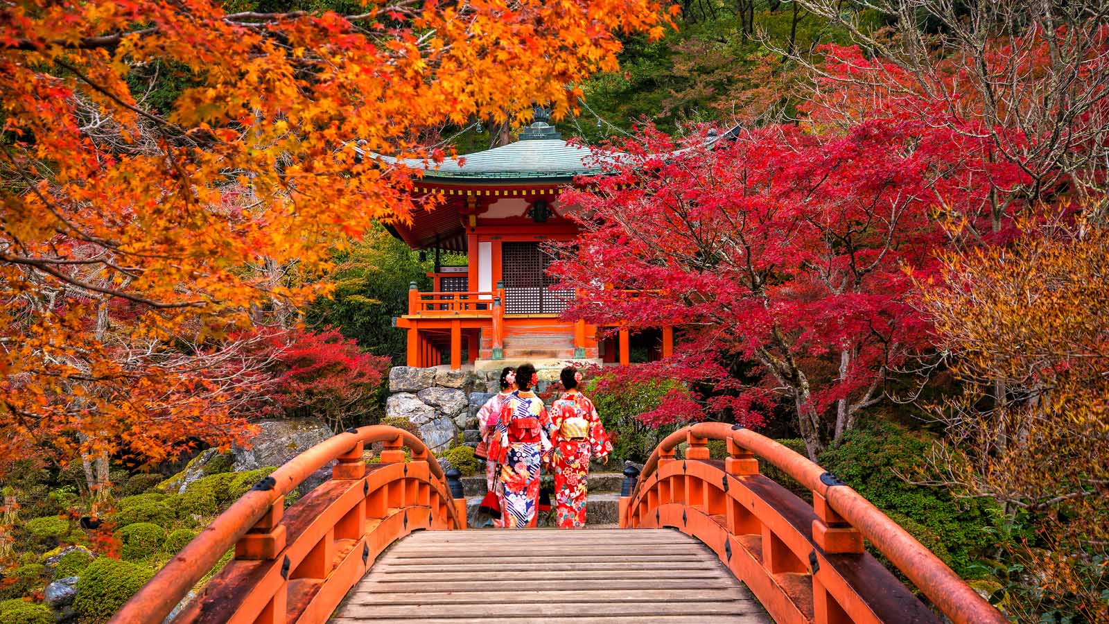 The 20 Best Things to Do in Kyoto, Japan – FlySaver